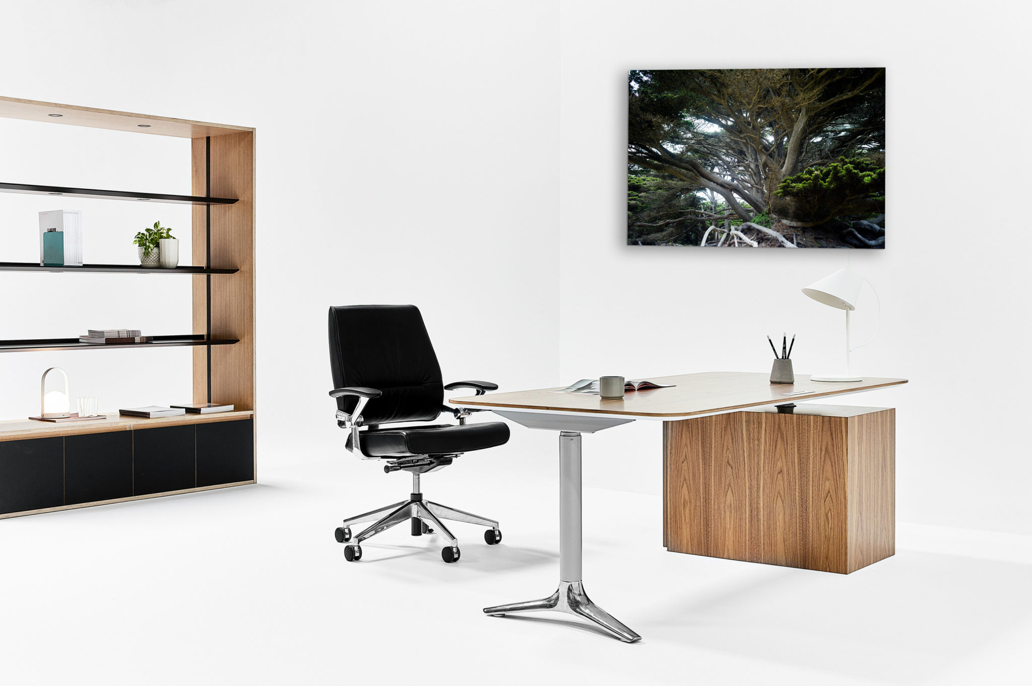 Lunar View Sit to Stand Desk - Ambience Doré